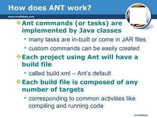 Introduction To Ant1 | PPT