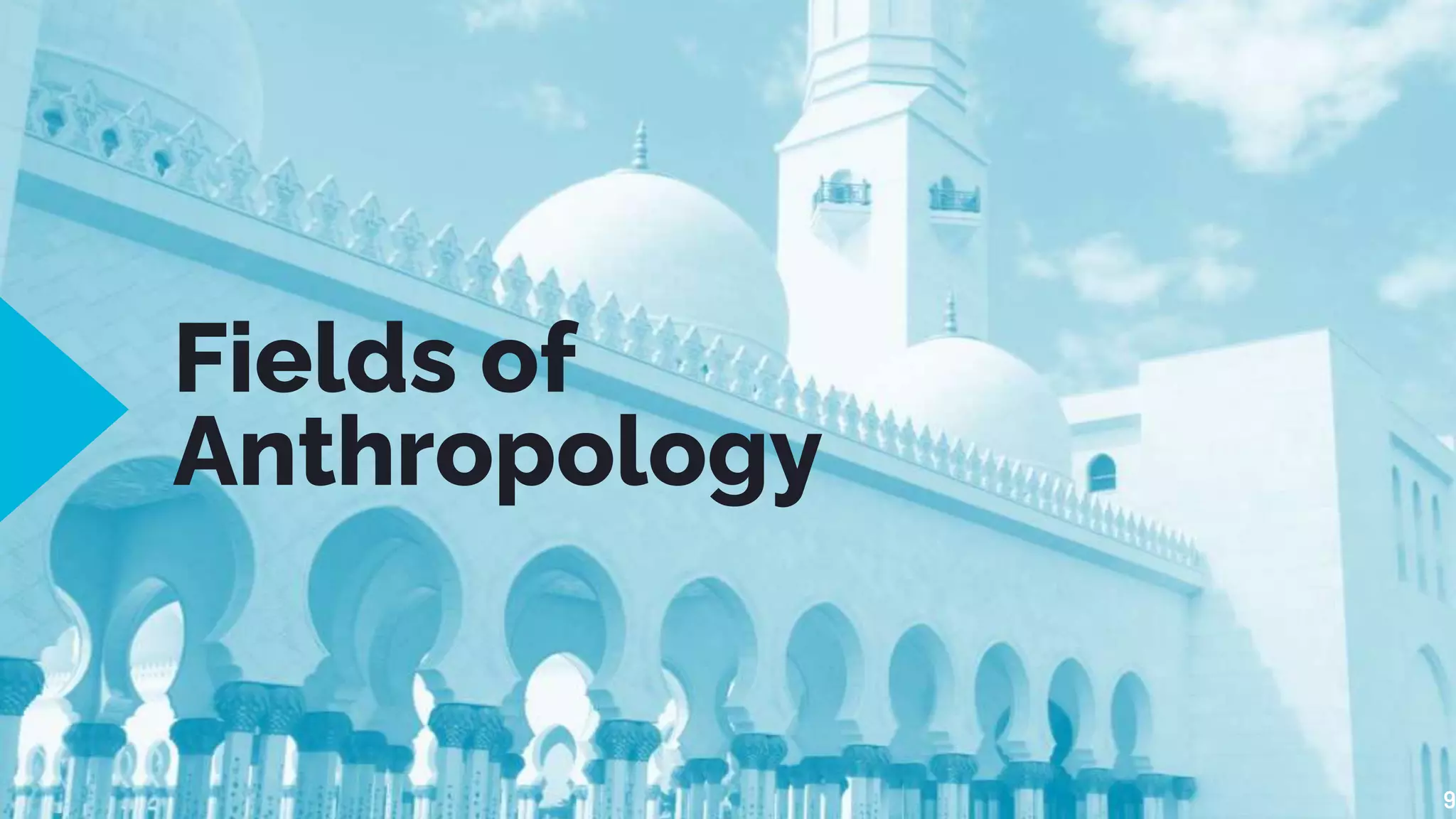 Introduction to anthropology sociology and political science | PPTX