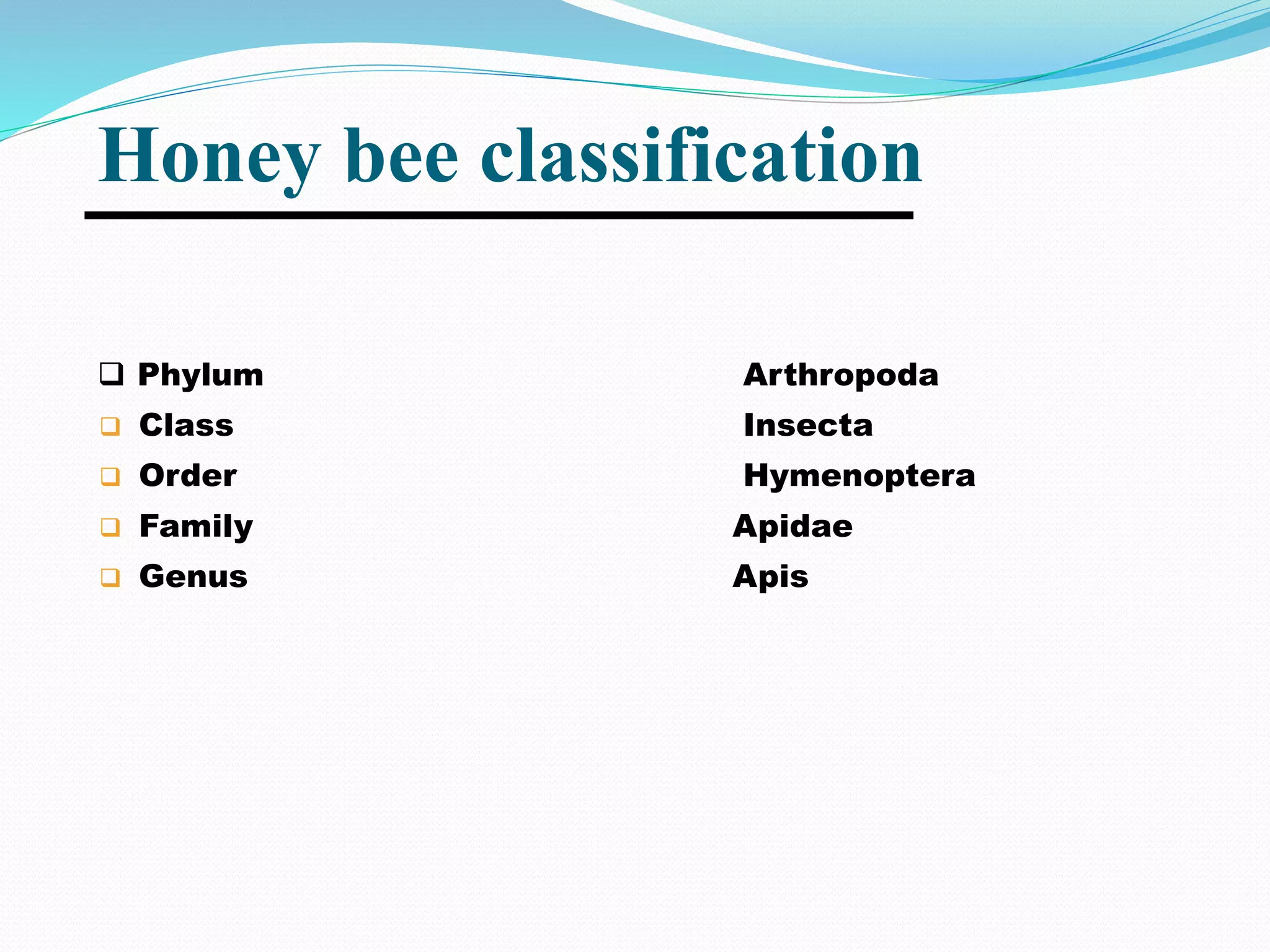 Introduction to Apiculture.pptx | Beekeeping | Hobbies & Interests