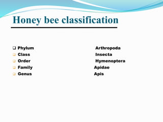 Introduction to Apiculture.pptx | Beekeeping | Hobbies & Interests