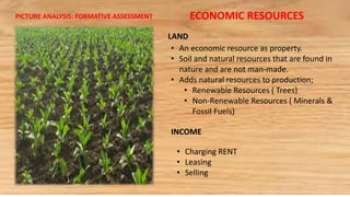 Introduction to applied economics part 11 | PPTX