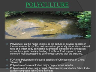 Introduction to aquaculture | PPTX