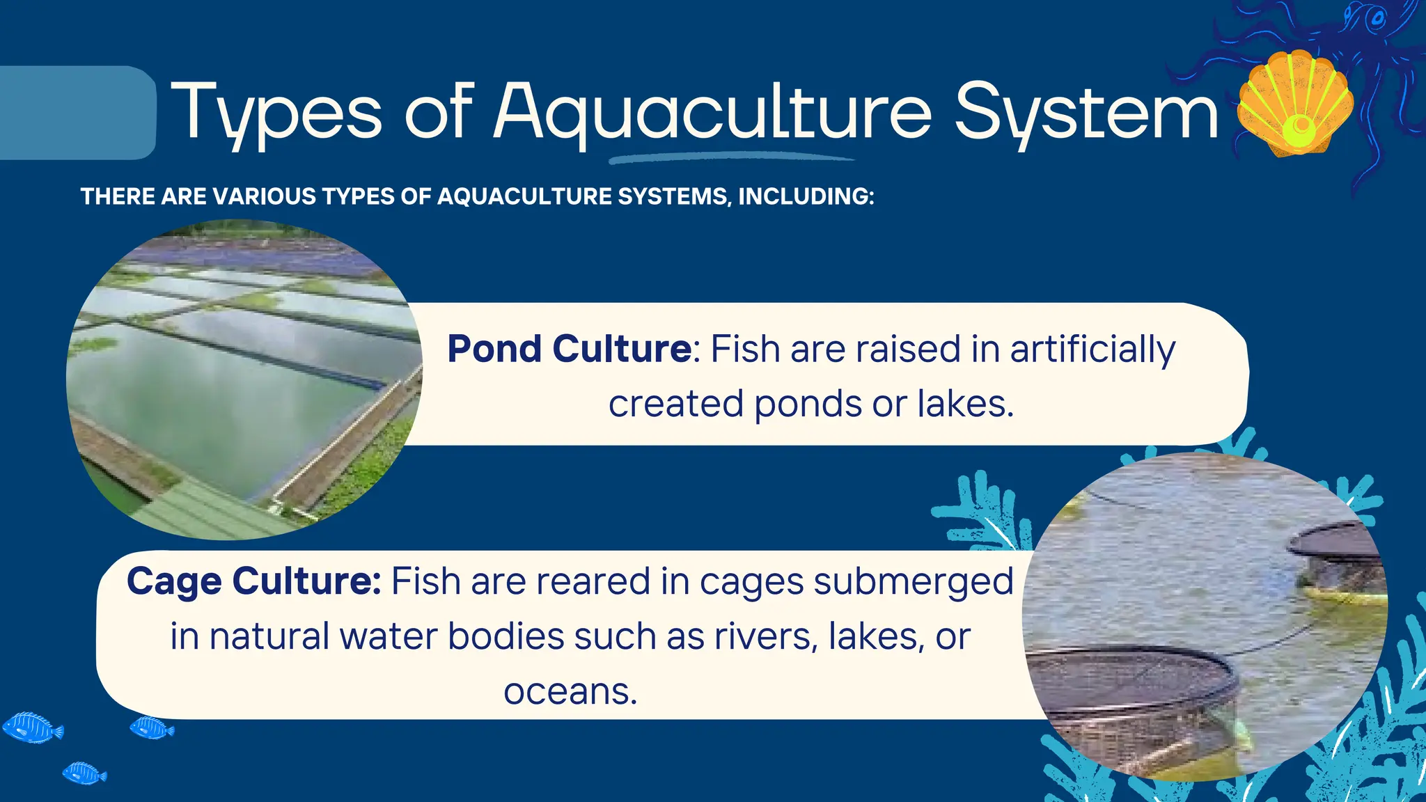 Introduction to Aquaculture: fish farming And fertilizers | PDF
