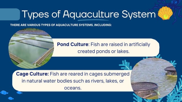 Introduction to Aquaculture: fish farming And fertilizers | PDF ...
