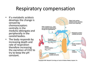 Introduction to arterial blood gases | PPT