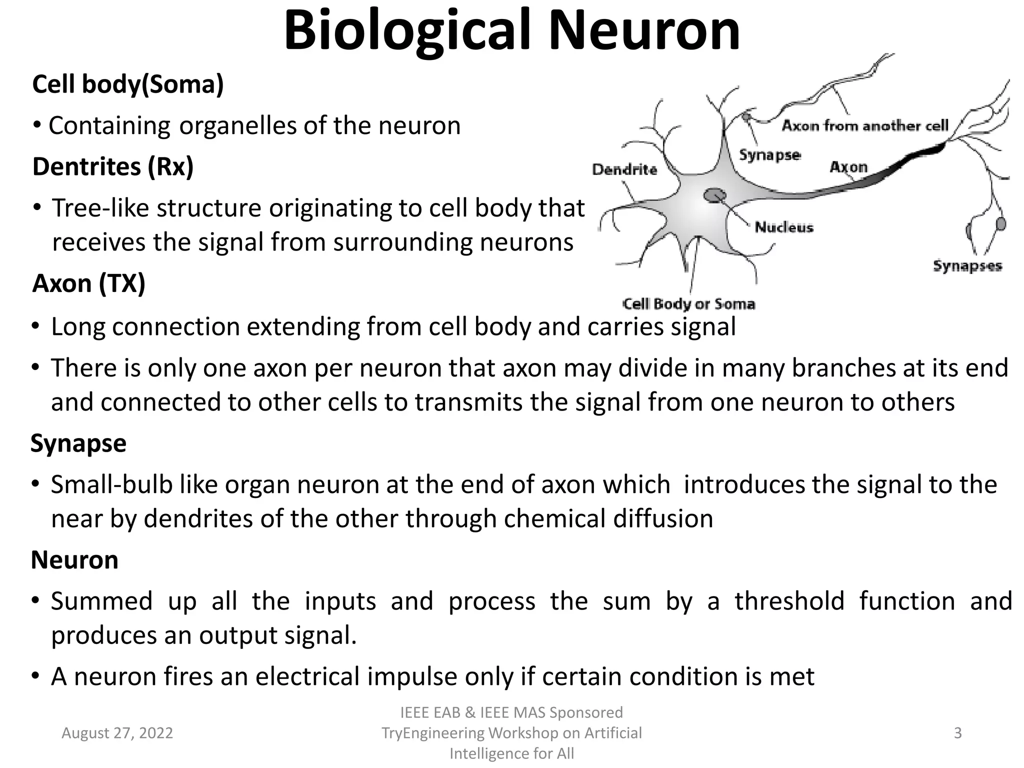 Introduction To Artificial Neural Networks Part Iipdf
