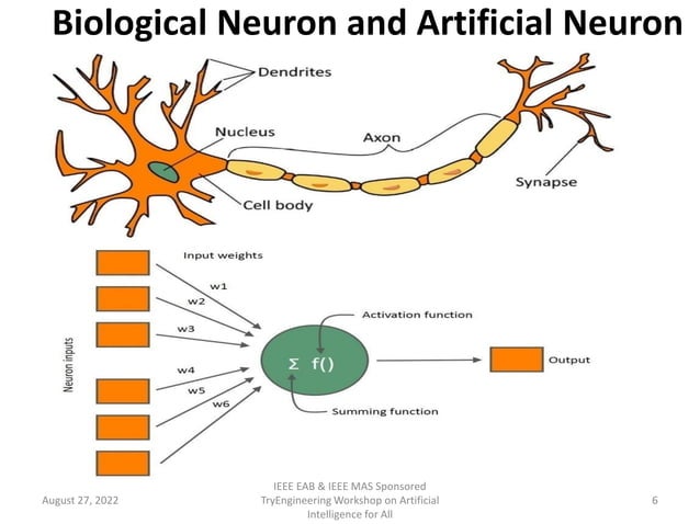 Introduction to Artificial Neural Networks - PART II.pdf