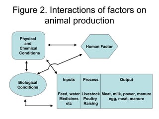 introduction to AS.pptintroduction to AS.ppt