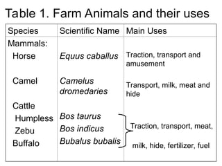 introduction to AS.pptintroduction to AS.ppt