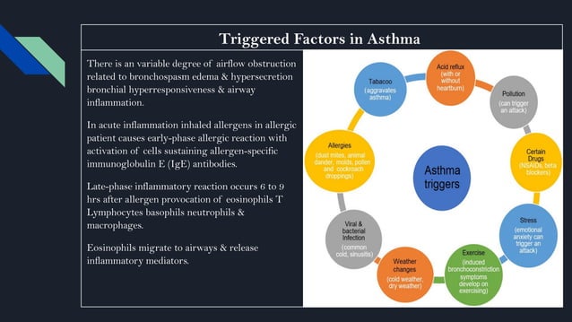 Introduction to Asthma , Pathology, Treatment , Choice of Drugs & Side ...