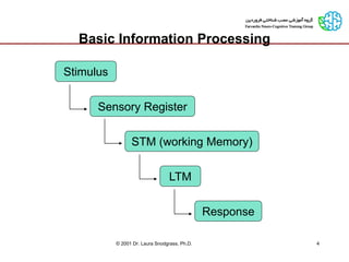 Introduction to attention | PPSX