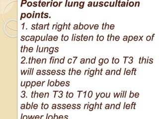 Introduction to auscultation | PPT