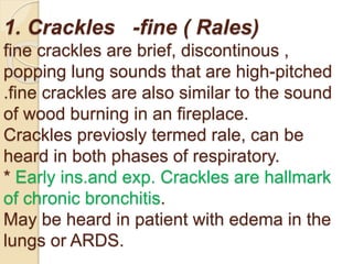 Introduction to auscultation | PPT