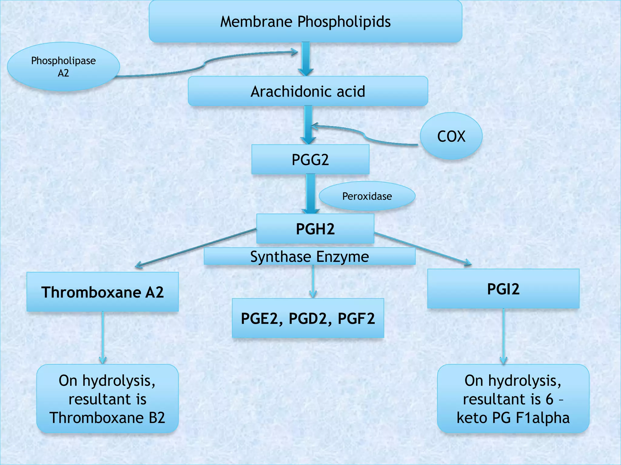 Introduction to autacoids and classification | PDF