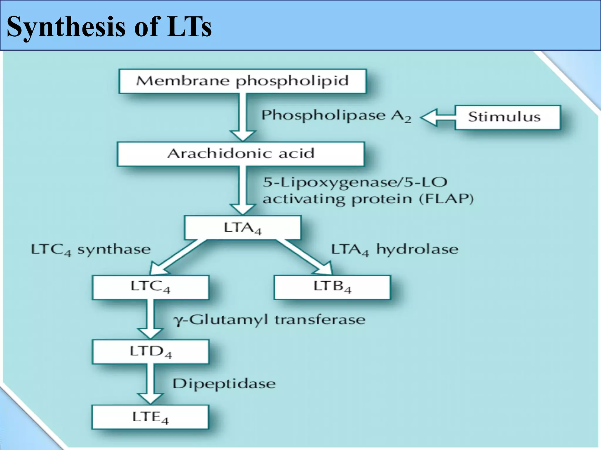 Introduction to autacoids and classification | PDF