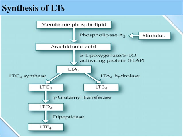 Introduction to autacoids and classification | PDF
