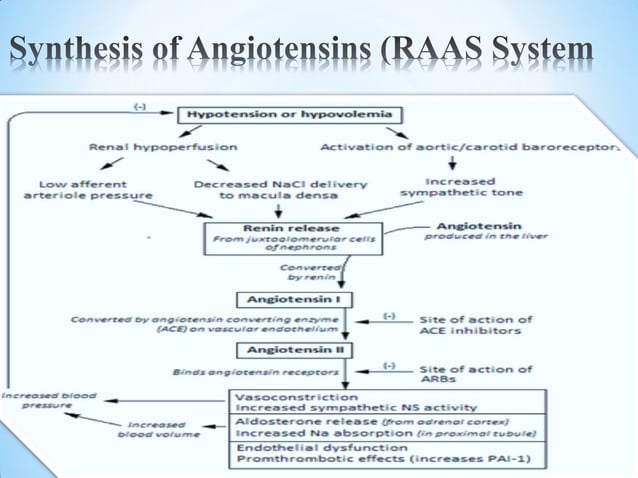 Introduction to autacoids and classification | PDF