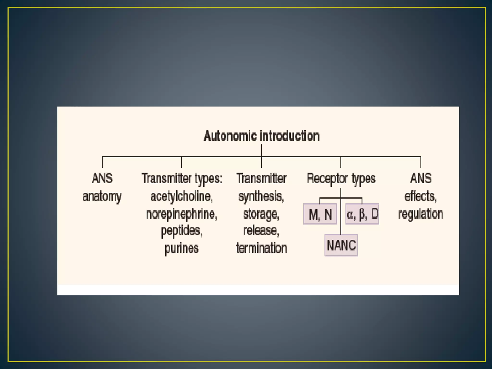 Introduction to autonomic pharmacology | PPTX