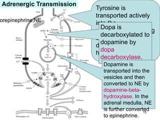 Introduction to Autonomic Pharmacology.pptx