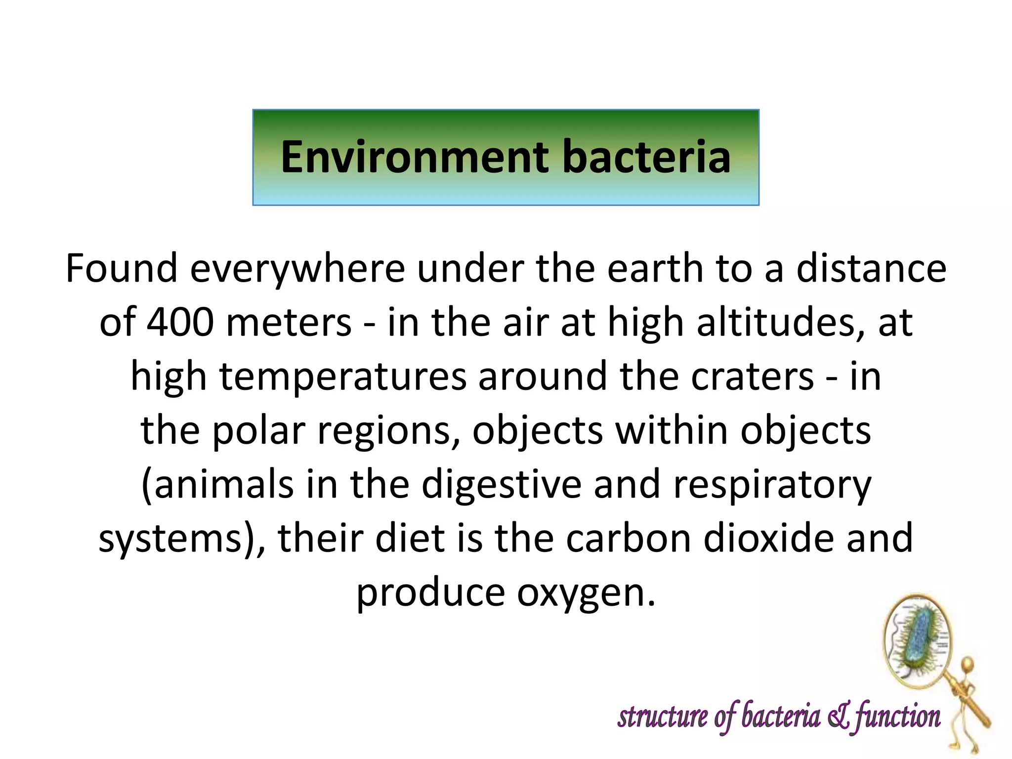 Introduction to bacteria, structure and function | PPTX