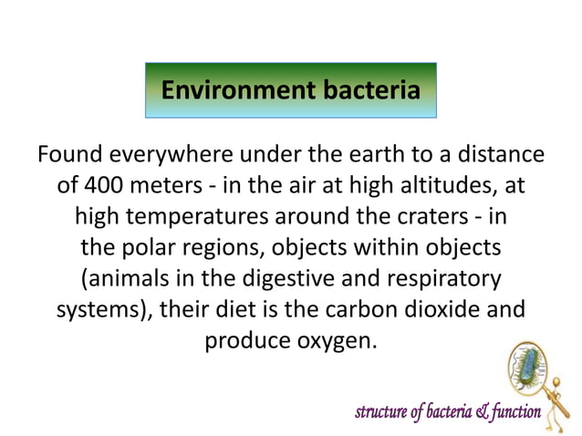 Introduction to bacteria, structure and function | PPTX | Genetics ...