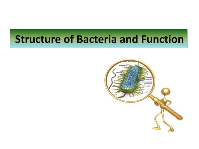 Introduction to bacteria, structure and function | PPTX | Genetics | Science