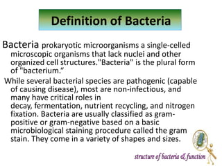 Introduction to bacteria, structure and function | PPTX
