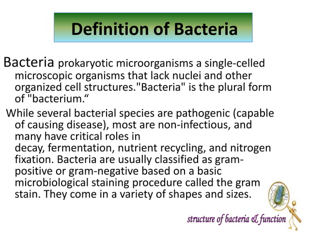 Introduction to bacteria, structure and function | PPTX | Genetics | Science