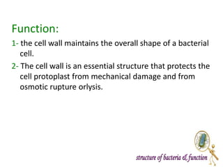 Introduction to bacteria, structure and function | PPTX