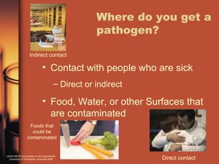 Introduction to bacteria | PPT