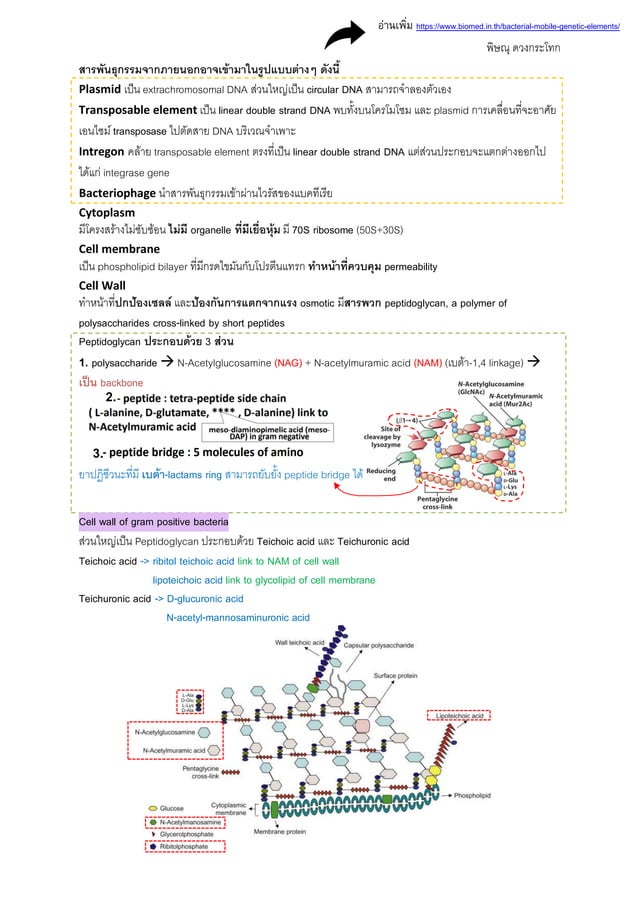 Introduction to bacteriology,morphology and classification of bacteria ...