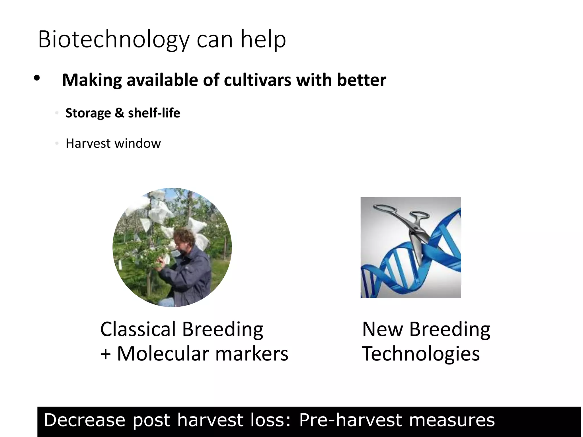 Introduction to basic biotechnology part b | PPT