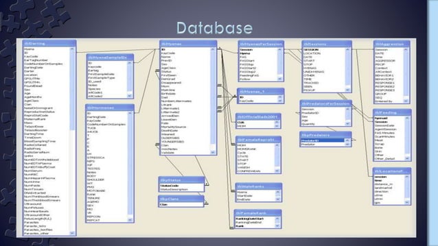 Introduction to basic database concepts | PPTX