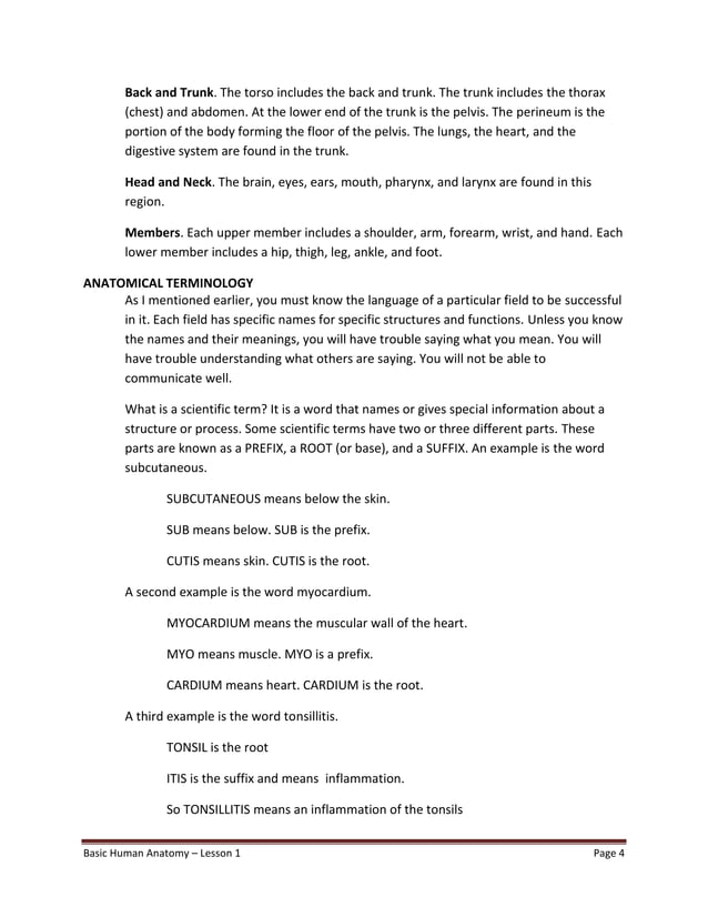 INTRODUCTION TO BASICS OF HUMAN ANATOMY.pdf