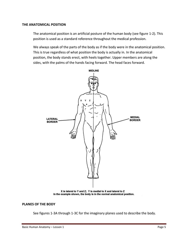INTRODUCTION TO BASICS OF HUMAN ANATOMY.pdf