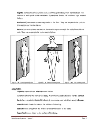 INTRODUCTION TO BASICS OF HUMAN ANATOMY.pdf