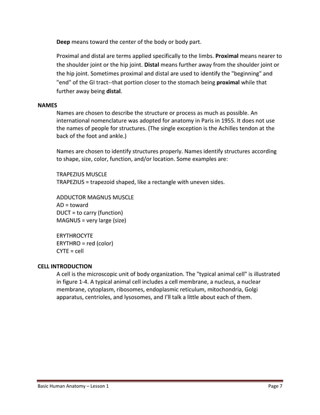 INTRODUCTION TO BASICS OF HUMAN ANATOMY.pdf