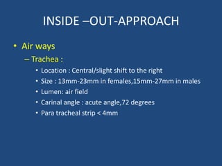 Introduction to basics of radiology | PPTX