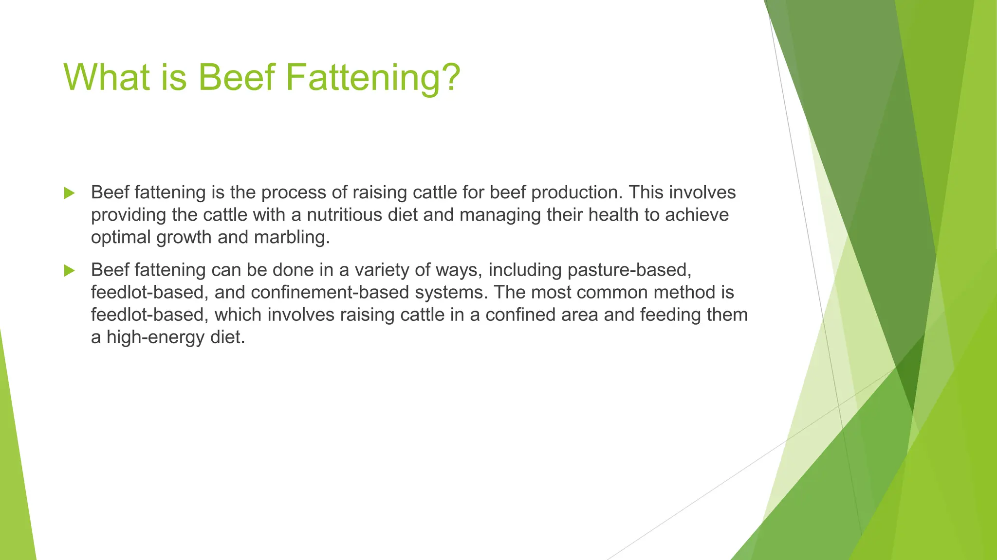 Introduction to beef fattening (Overview).pptx
