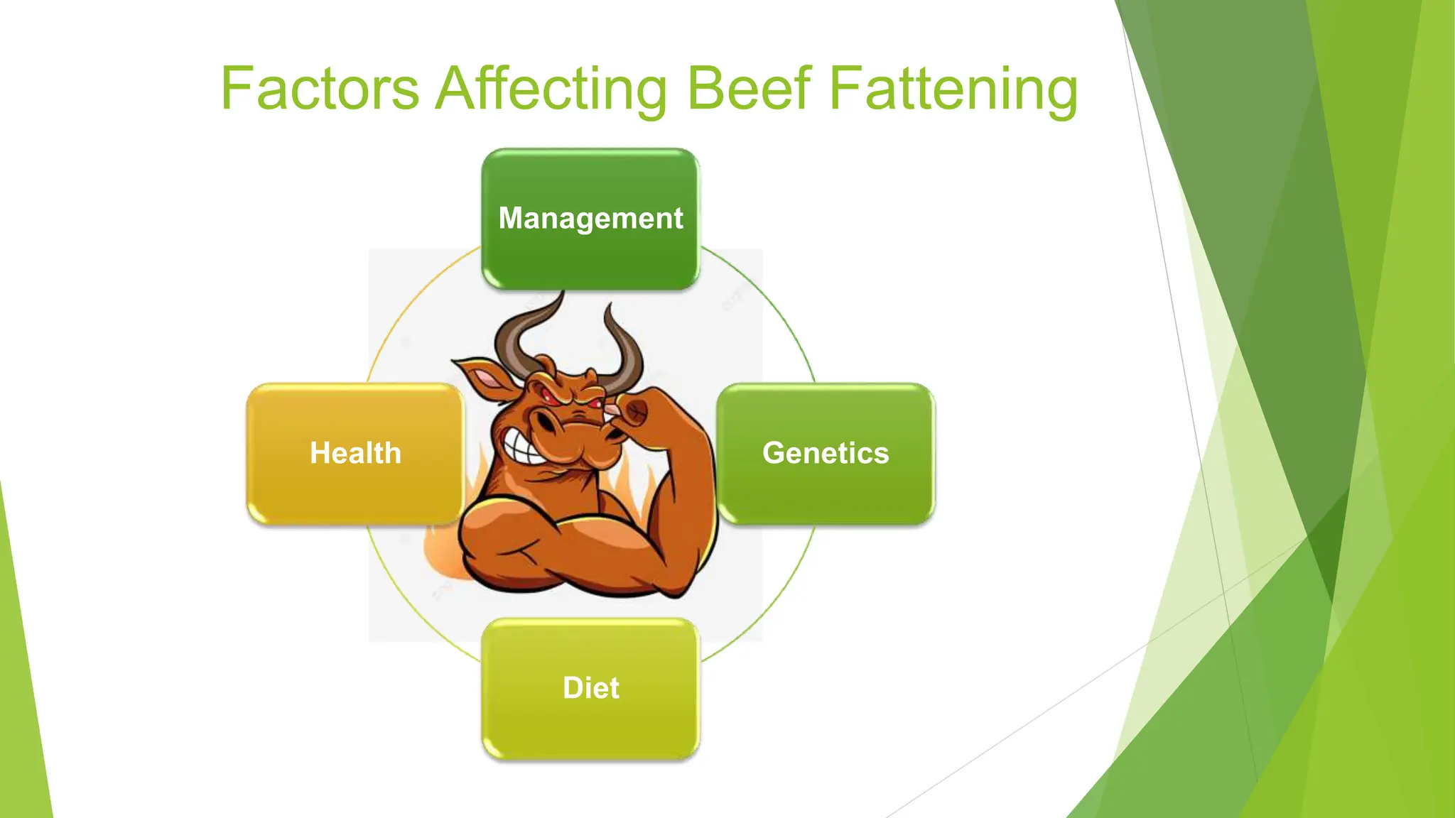 Introduction to beef fattening (Overview).pptx