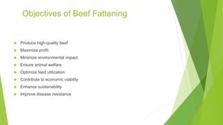 Introduction to beef fattening (Overview).pptx