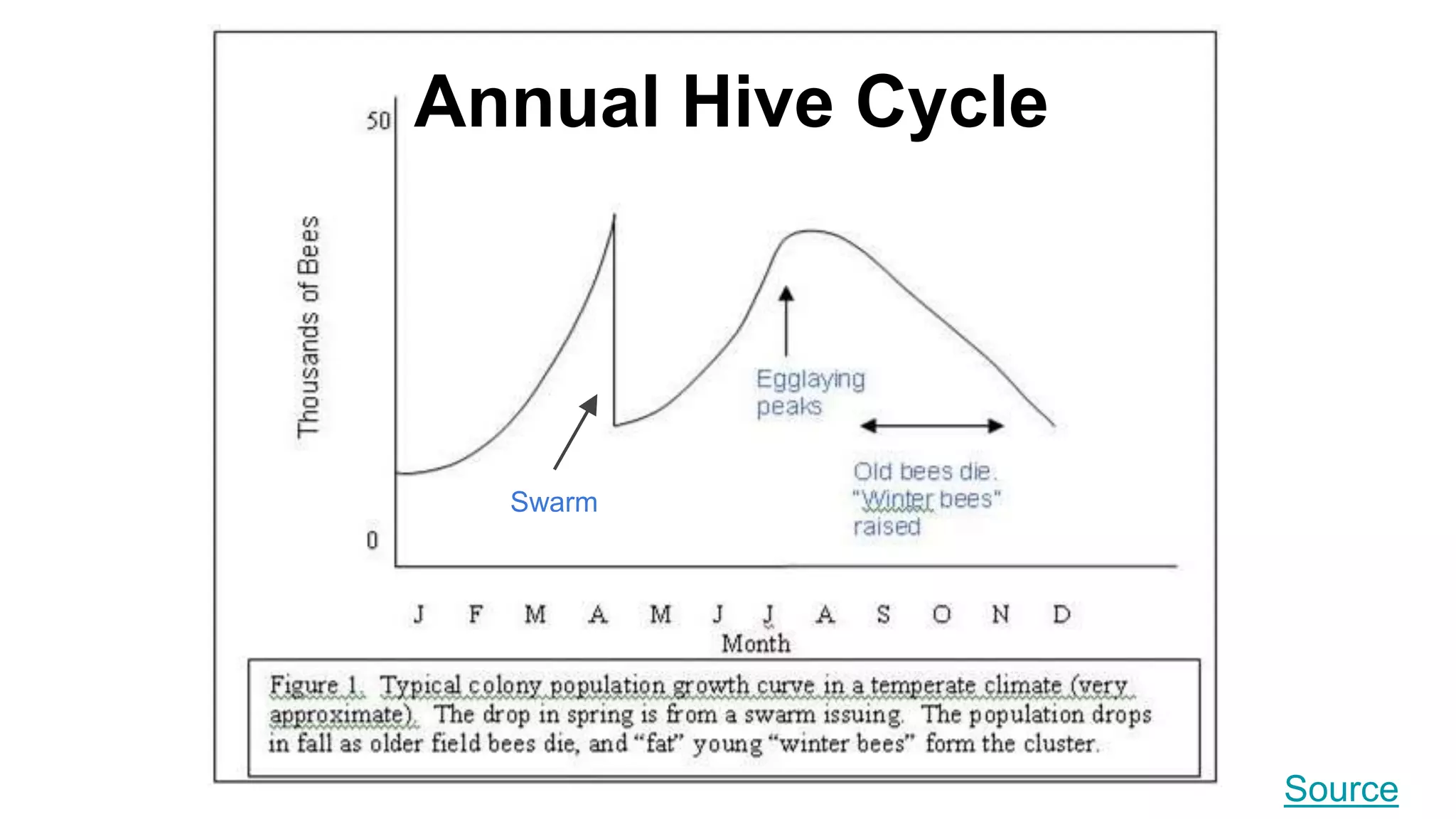 Introduction to bees and beekeeping | PPTX