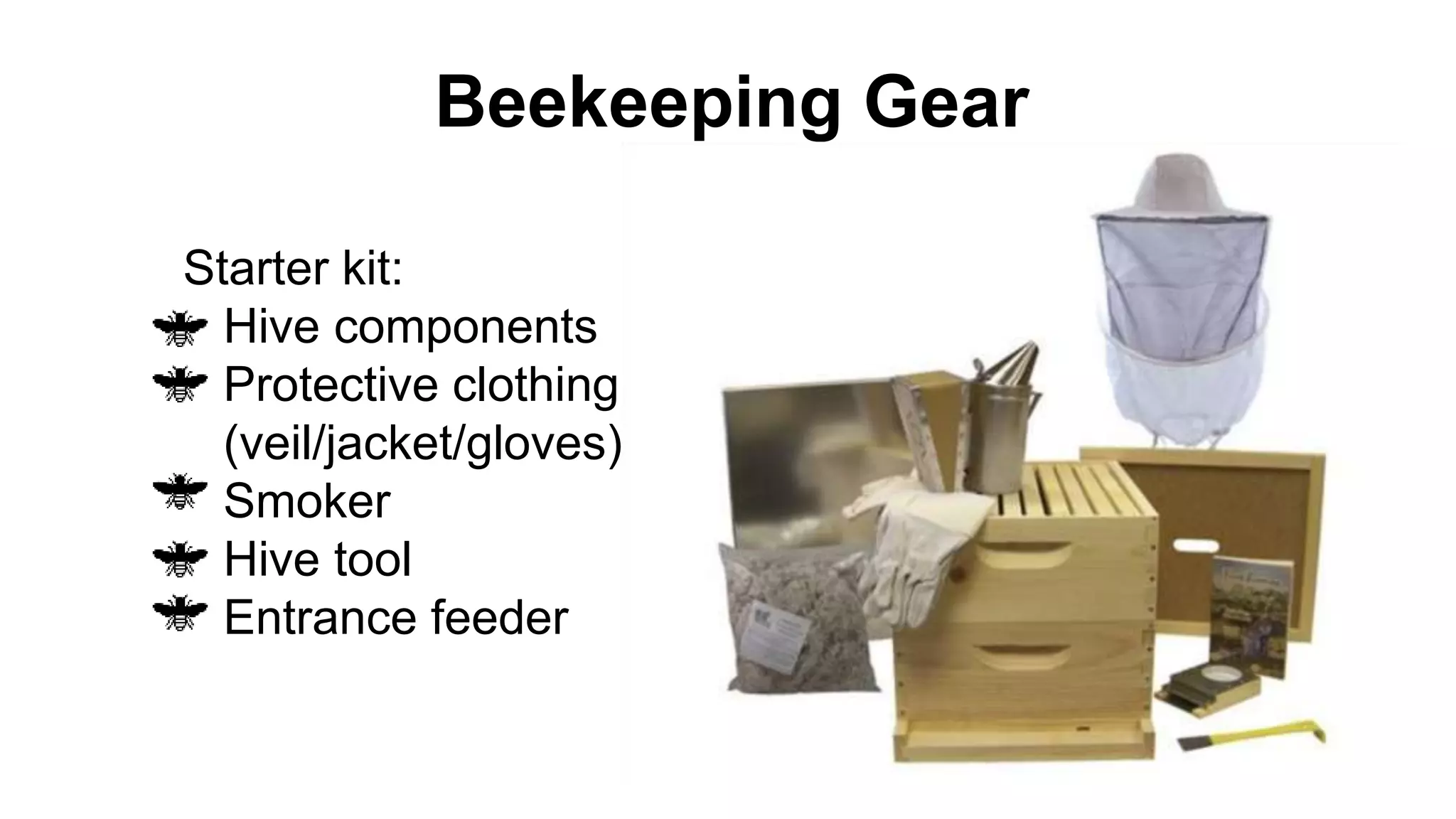 Introduction to bees and beekeeping | PPTX