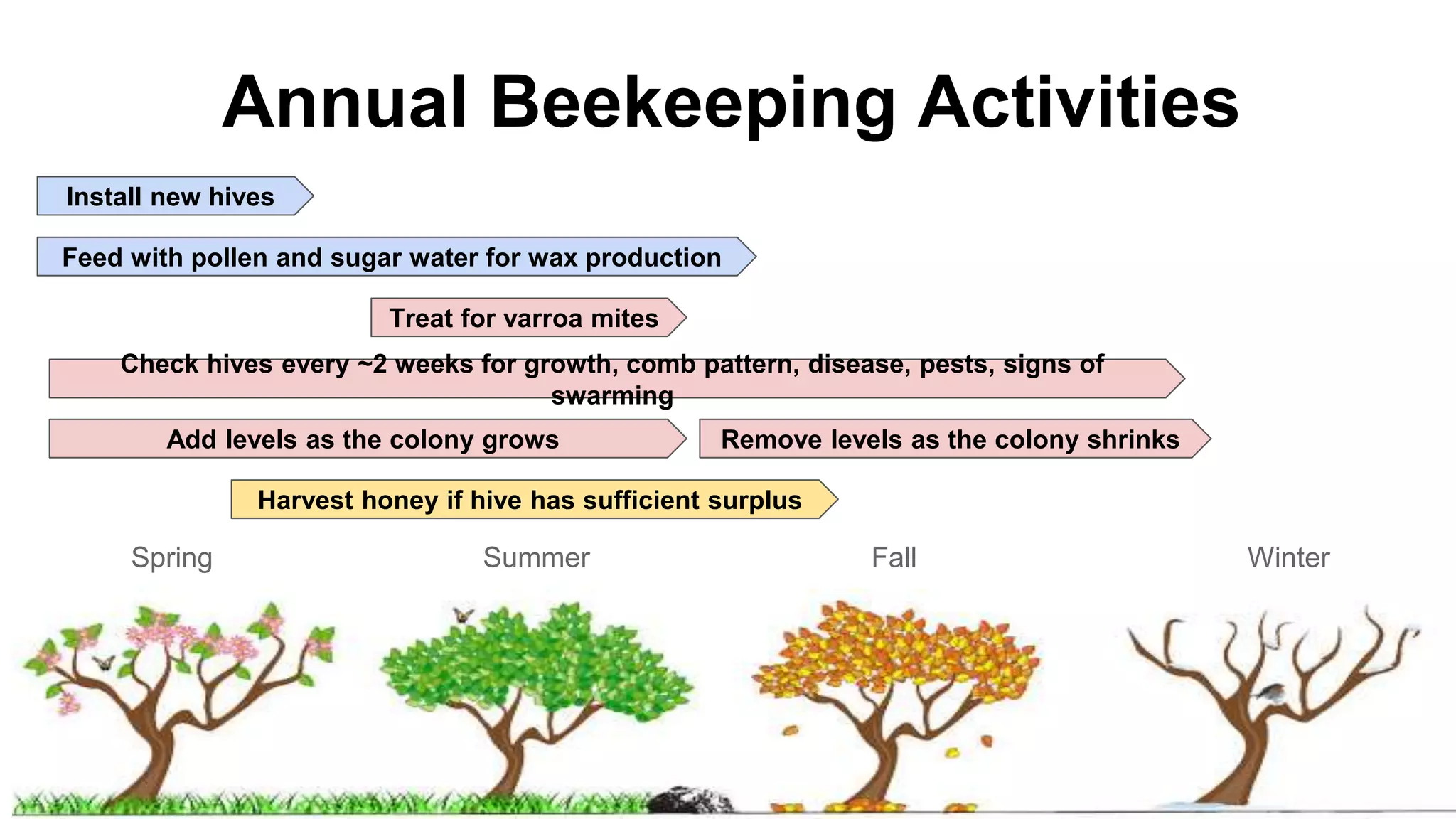 Introduction to bees and beekeeping | PPTX