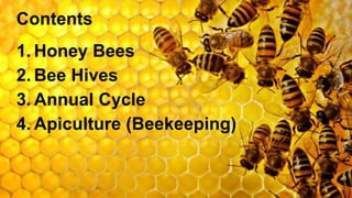 Introduction to bees and beekeeping | PPTX