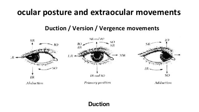 Extraocular Movements Conjugate Extra Ocu.movement By Pushkar Dhir