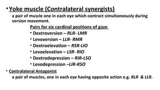 Introduction to binocular vision and ocular motility | PPT