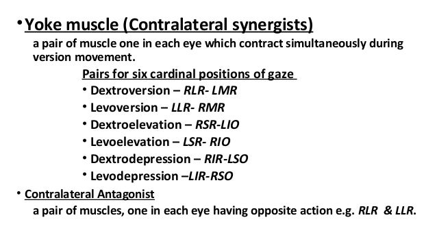 Introduction to binocular vision and ocular motility