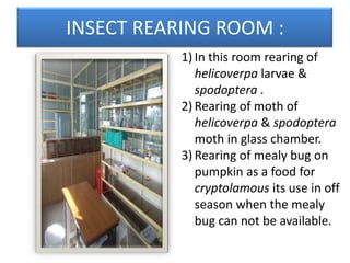 Introduction to bio control lab for the production of bio pesticide and ...