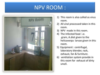 Introduction to bio control lab for the production of bio pesticide and ...